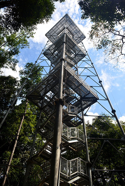 Musa em Manaus expõe encantos e riqueza da Floresta Amazônica