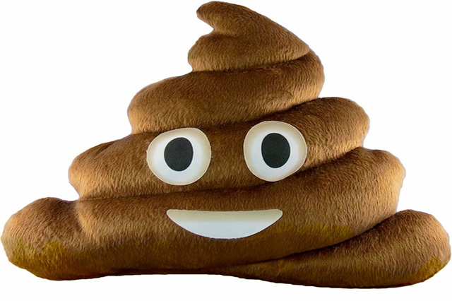 Para Bolsonaro, país está um cocô e, incomodou, é merda