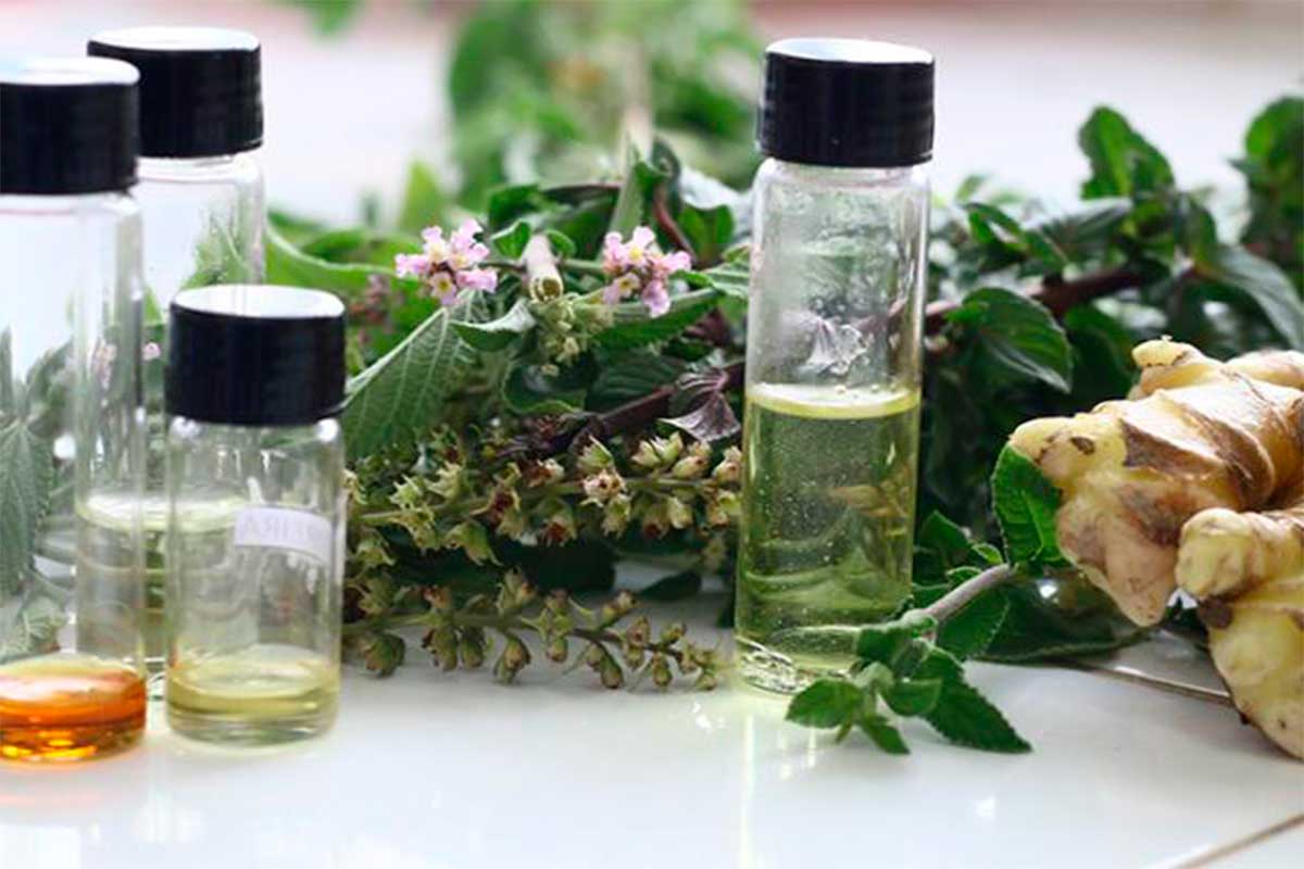 » Leia matérias sobre curandeiras no site AMAZONAS ATUAL