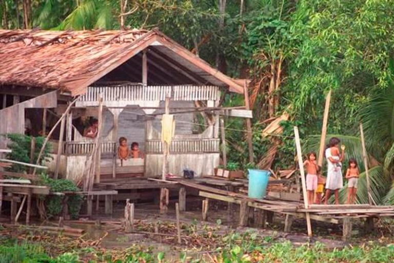 » Leia matérias sobre famílias ribeirinhas no site AMAZONAS ATUAL