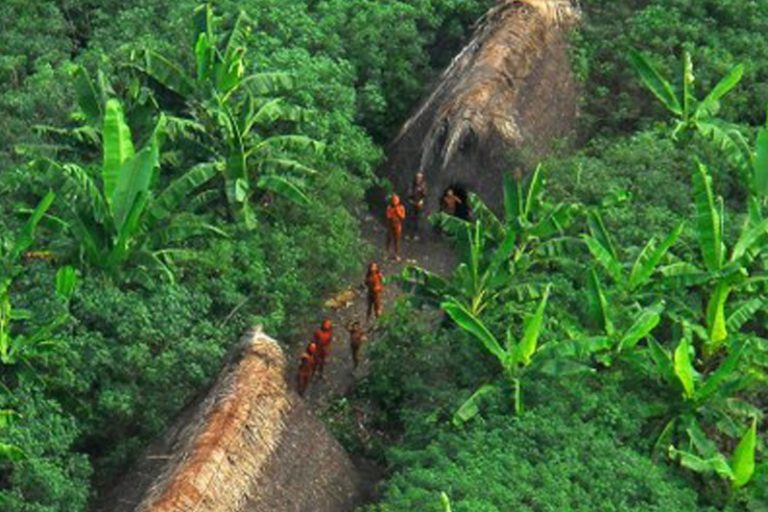 Novo grupo de indígenas isolados gera tensão no sul do Amazonas