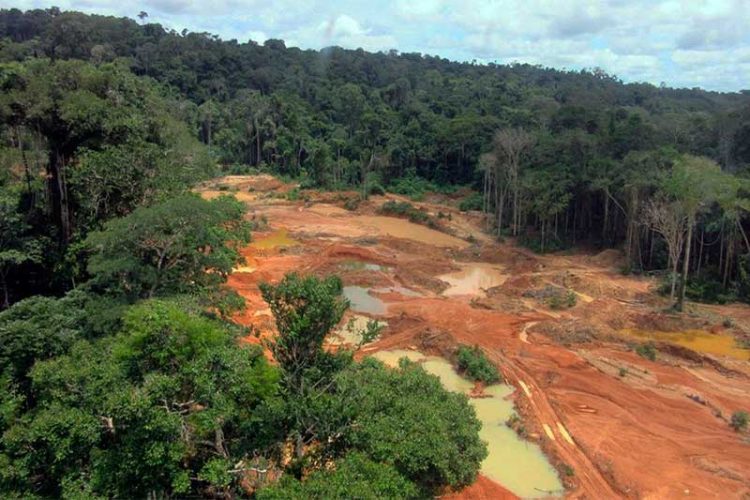 Bolsonaro lança programa de garimpo e mineração artesanal na Amazônia