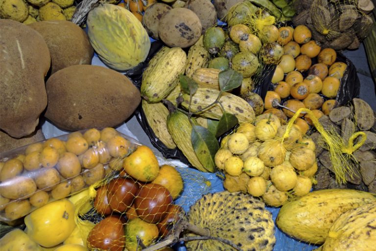 Bonitos e deliciosos; frutos amazônicos dão trabalho, mas vale a pena