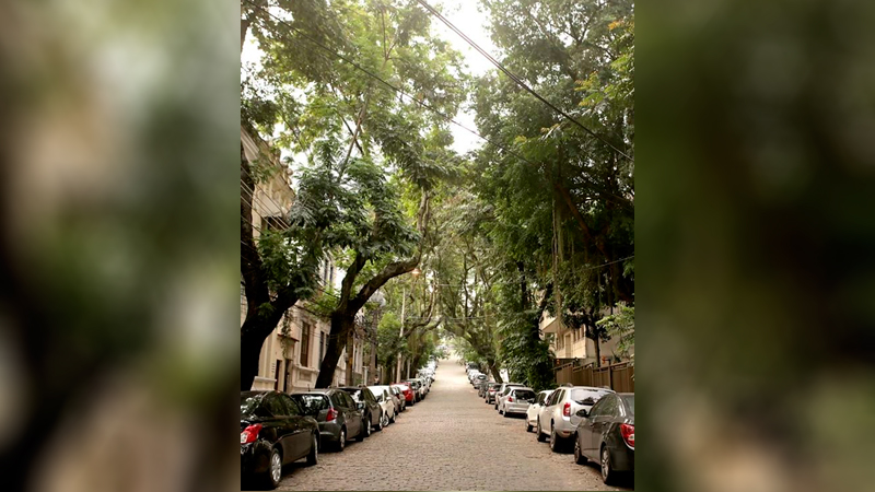 Humaitá: Descubra as vantagens de investir em imóveis nesta região