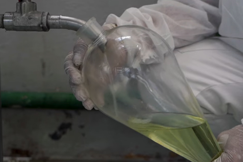 ‘Breu branco’ proporciona exploração econômica e preservação no AM