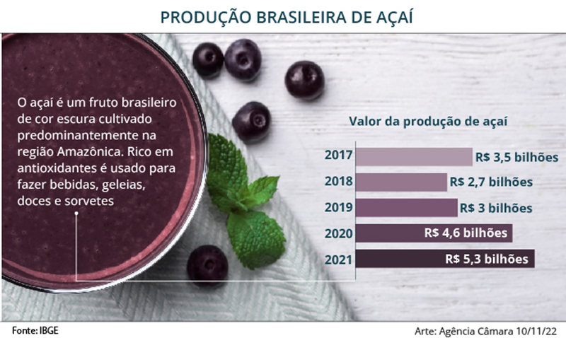 Projeto institui programa nacional para ampliar produção de açaí