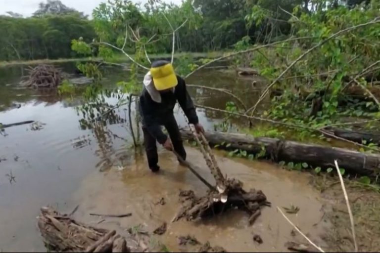 Cheia no Amazonas atinge 92.411 pessoas e afeta produção de alimentos